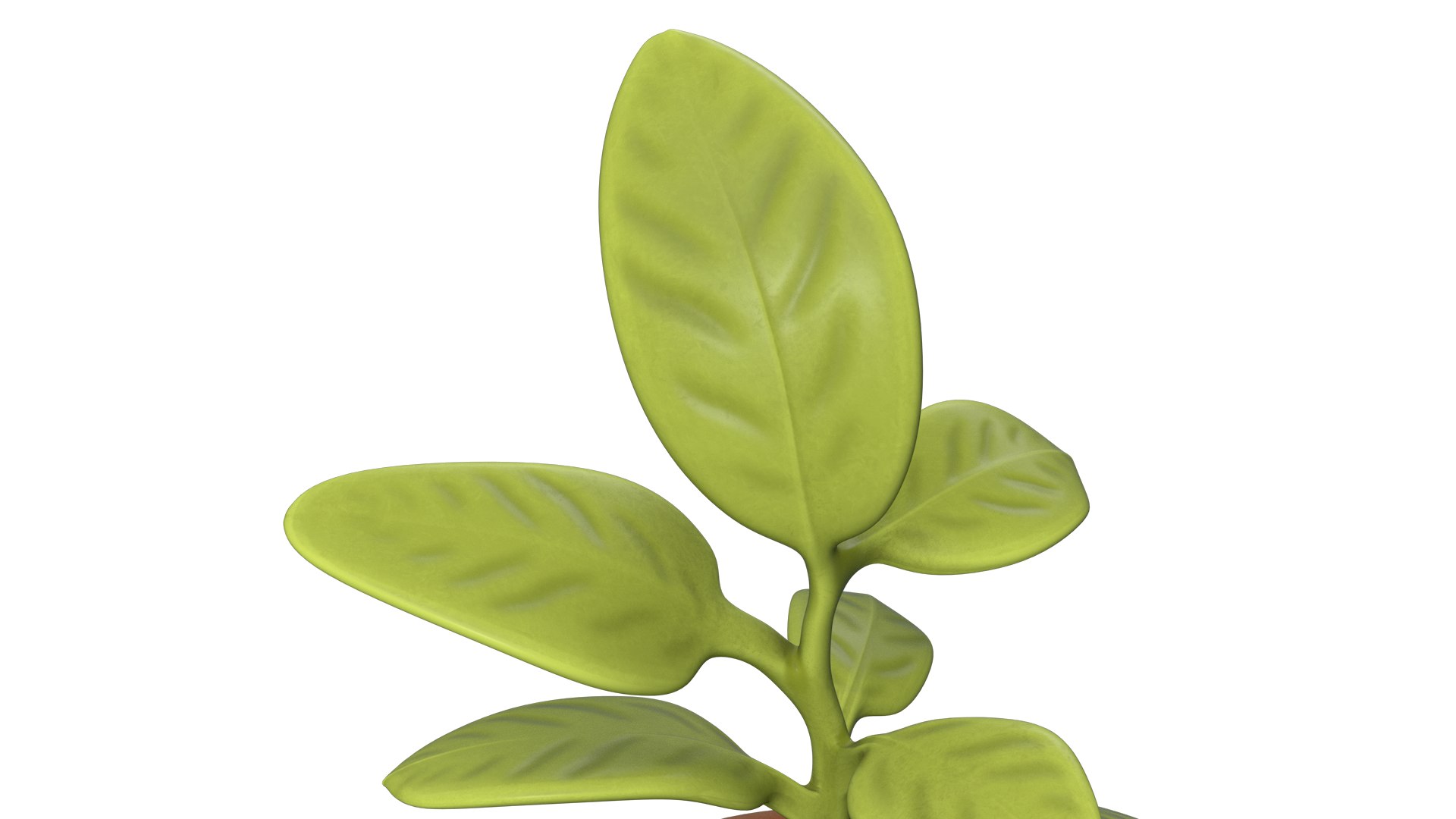 Cartoon Plant 3D model - TurboSquid 2132047