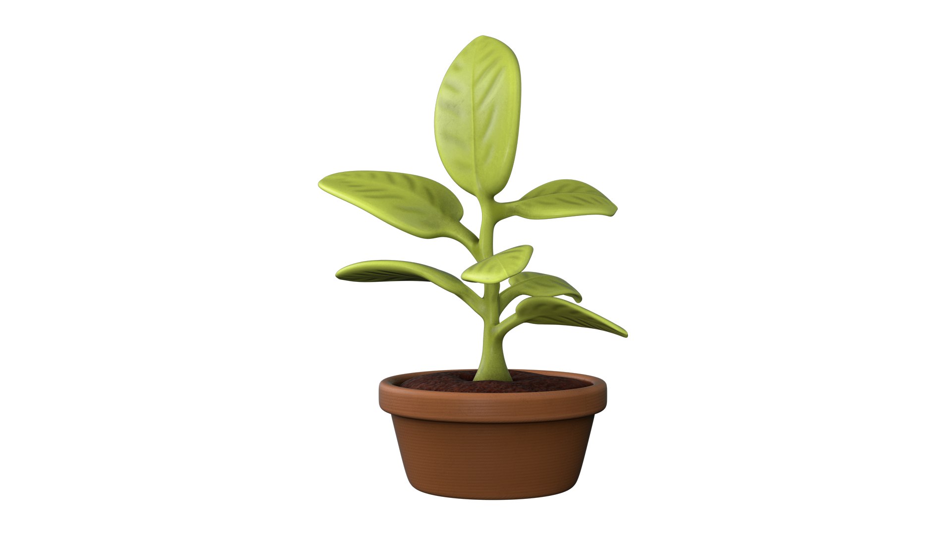 Cartoon Plant 3D model - TurboSquid 2132047