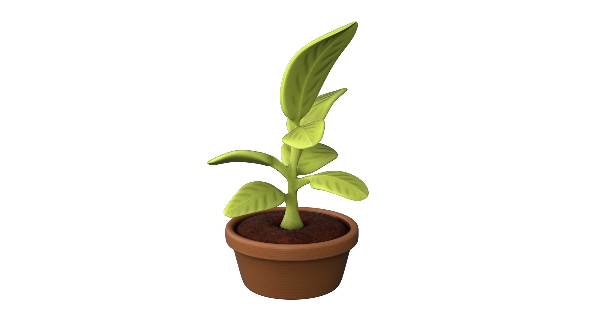 Cartoon Plant 3D model - TurboSquid 2132047