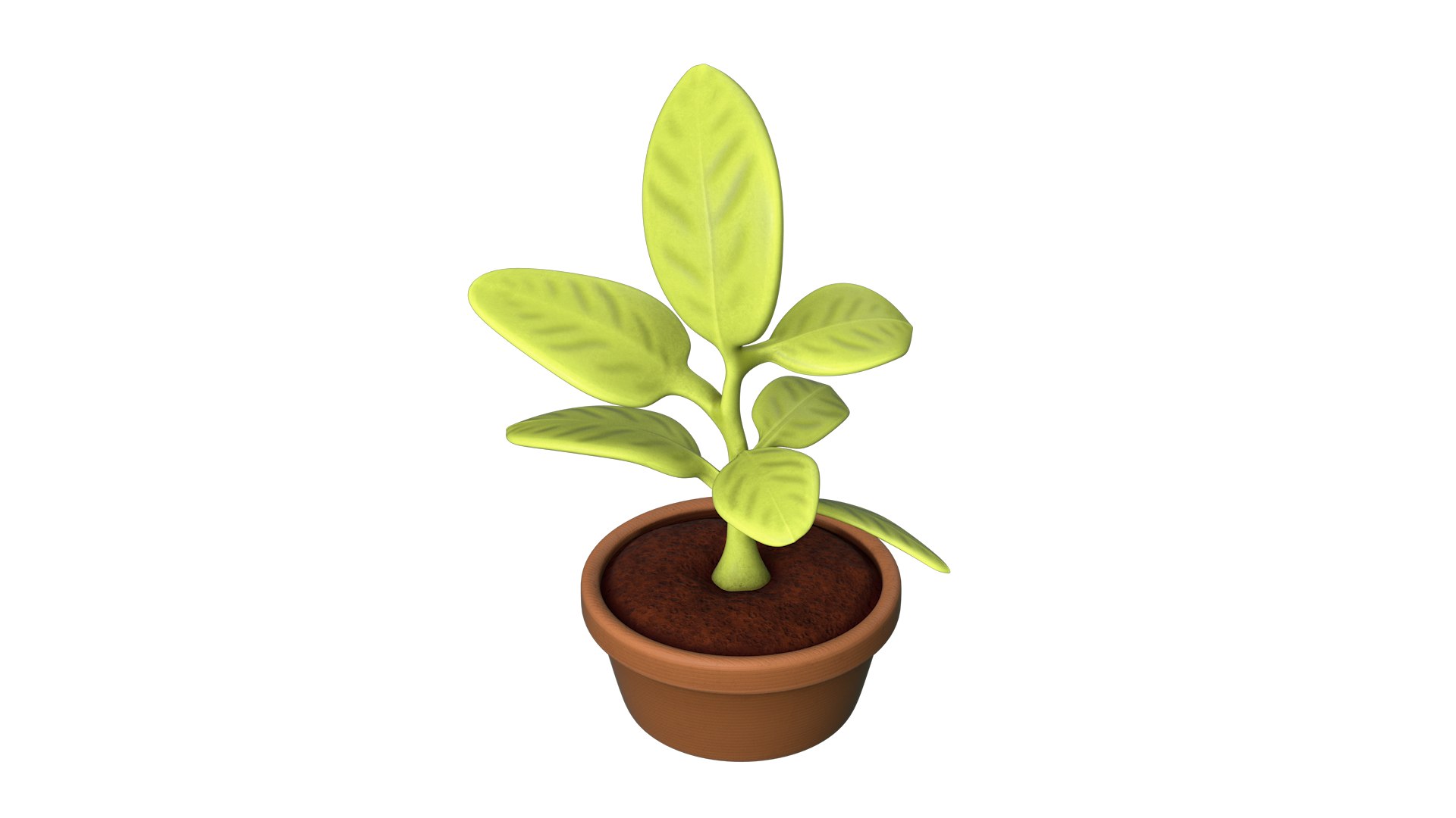 Cartoon Plant 3D model - TurboSquid 2132047
