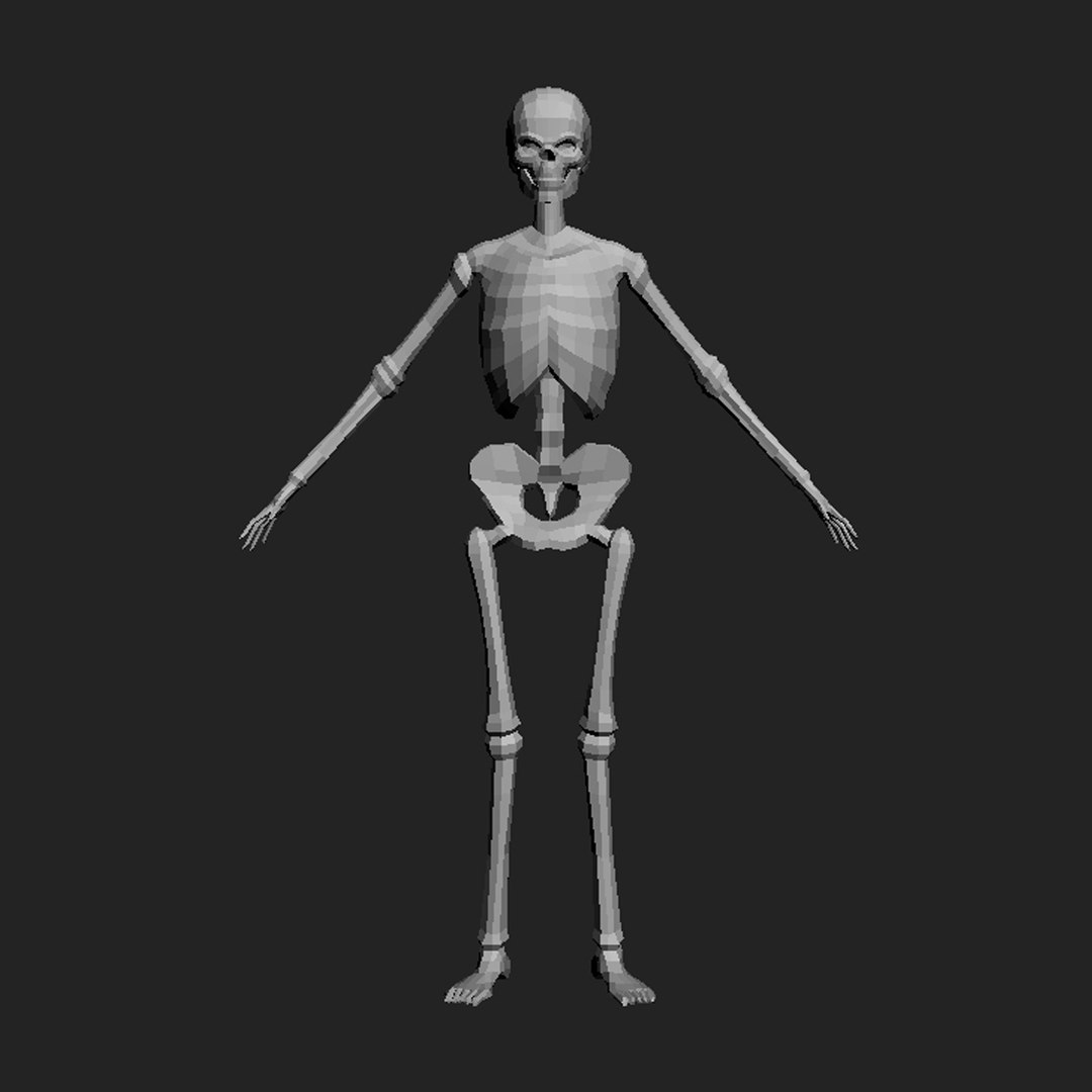 max skeleton