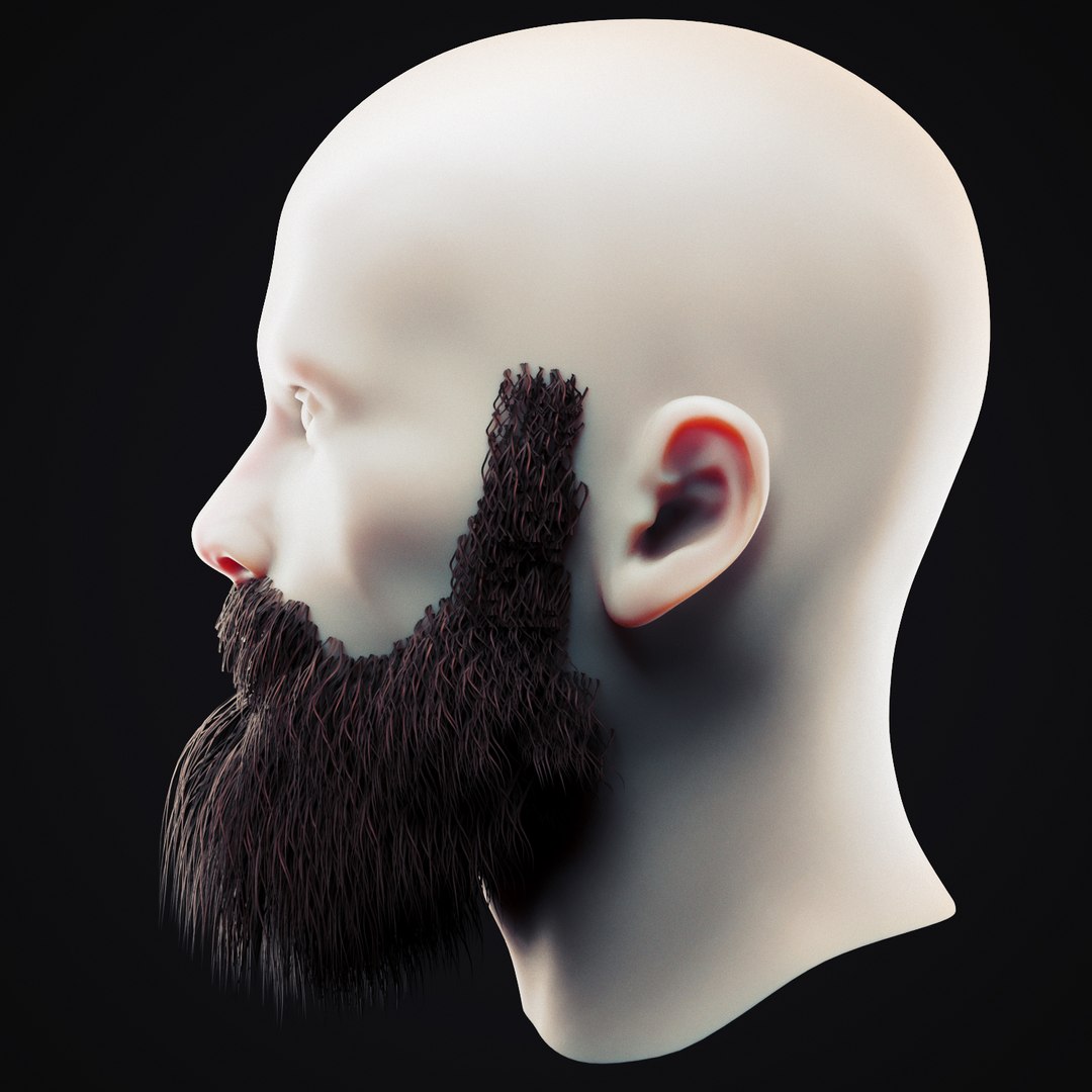 3D beard 10 model - TurboSquid 1489674