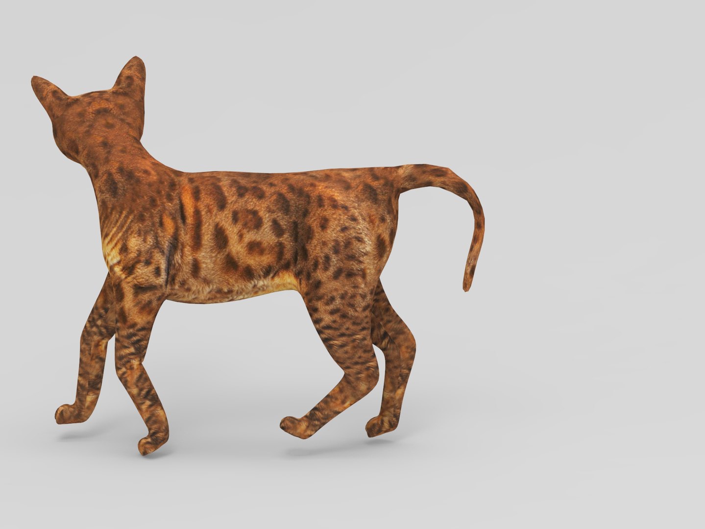Cat rigged 3D model - TurboSquid 1161442