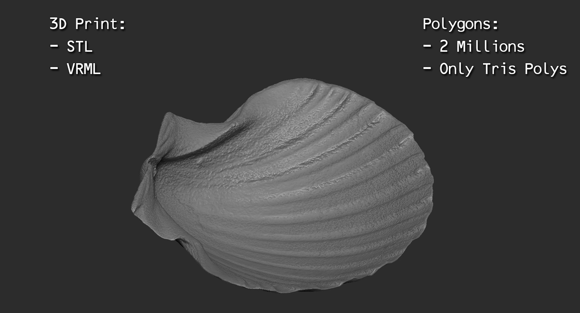 3d Shell Ready Unreal