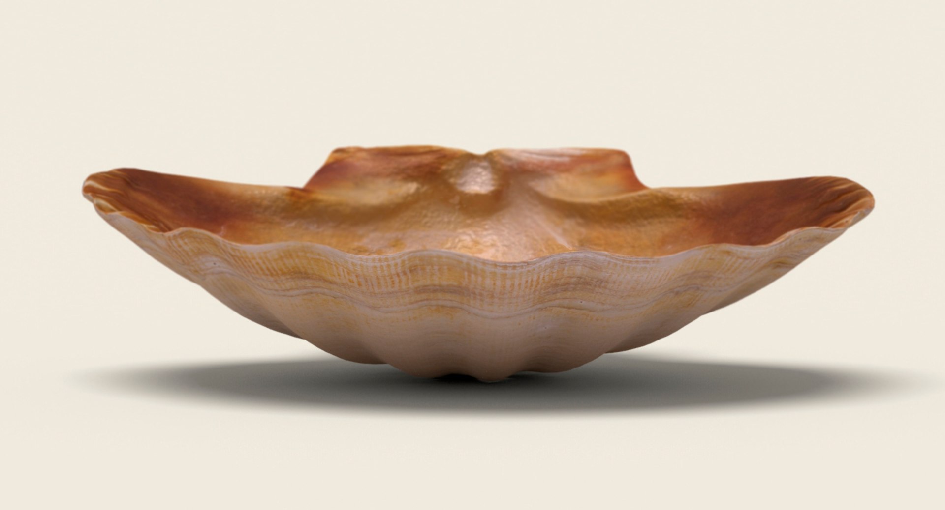 3d Shell Ready Unreal