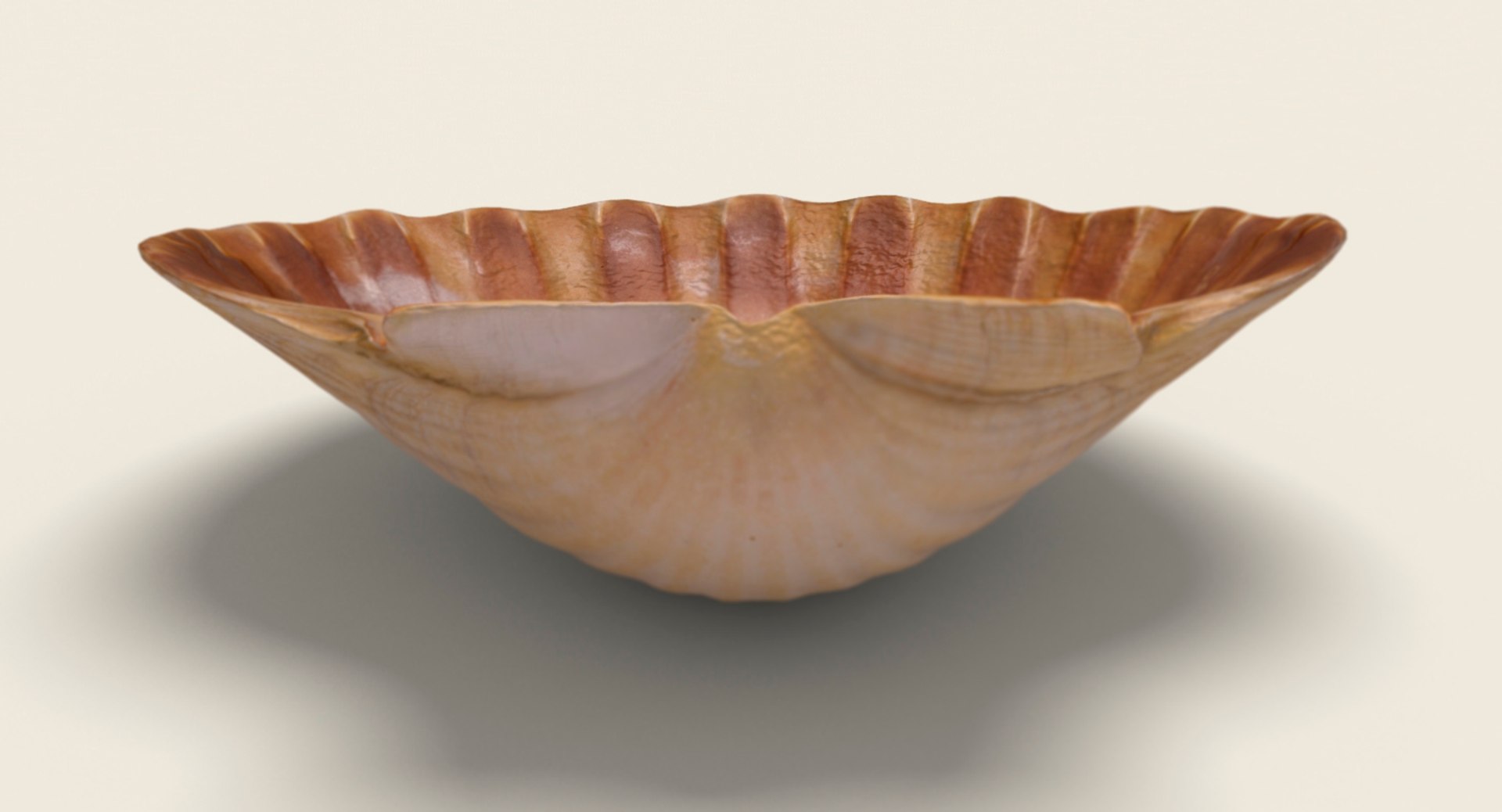 3d Shell Ready Unreal