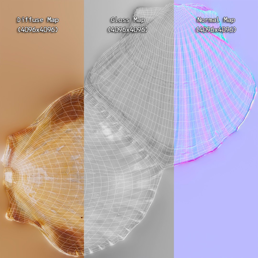 3d Shell Ready Unreal