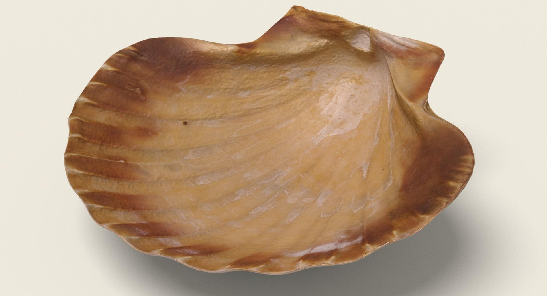 3d Shell Ready Unreal