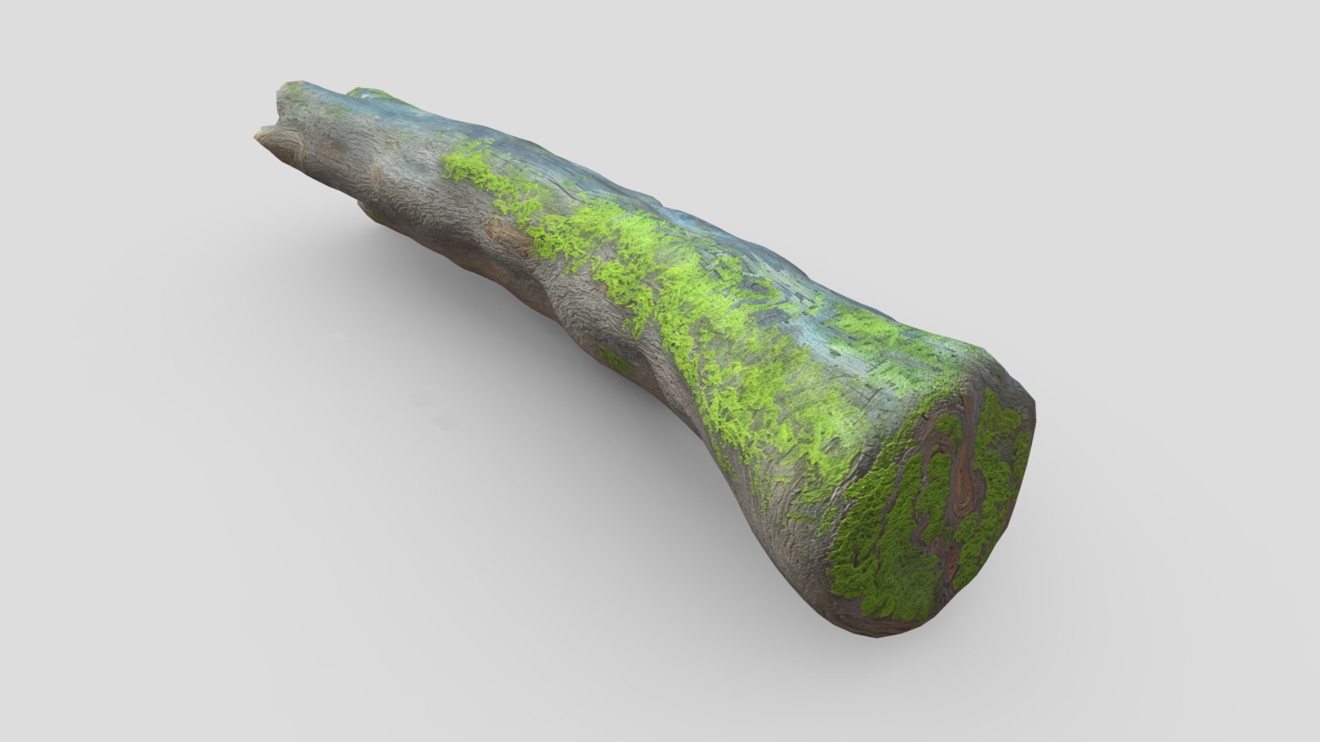 3D Fallen Tree 4 - TurboSquid 2249403