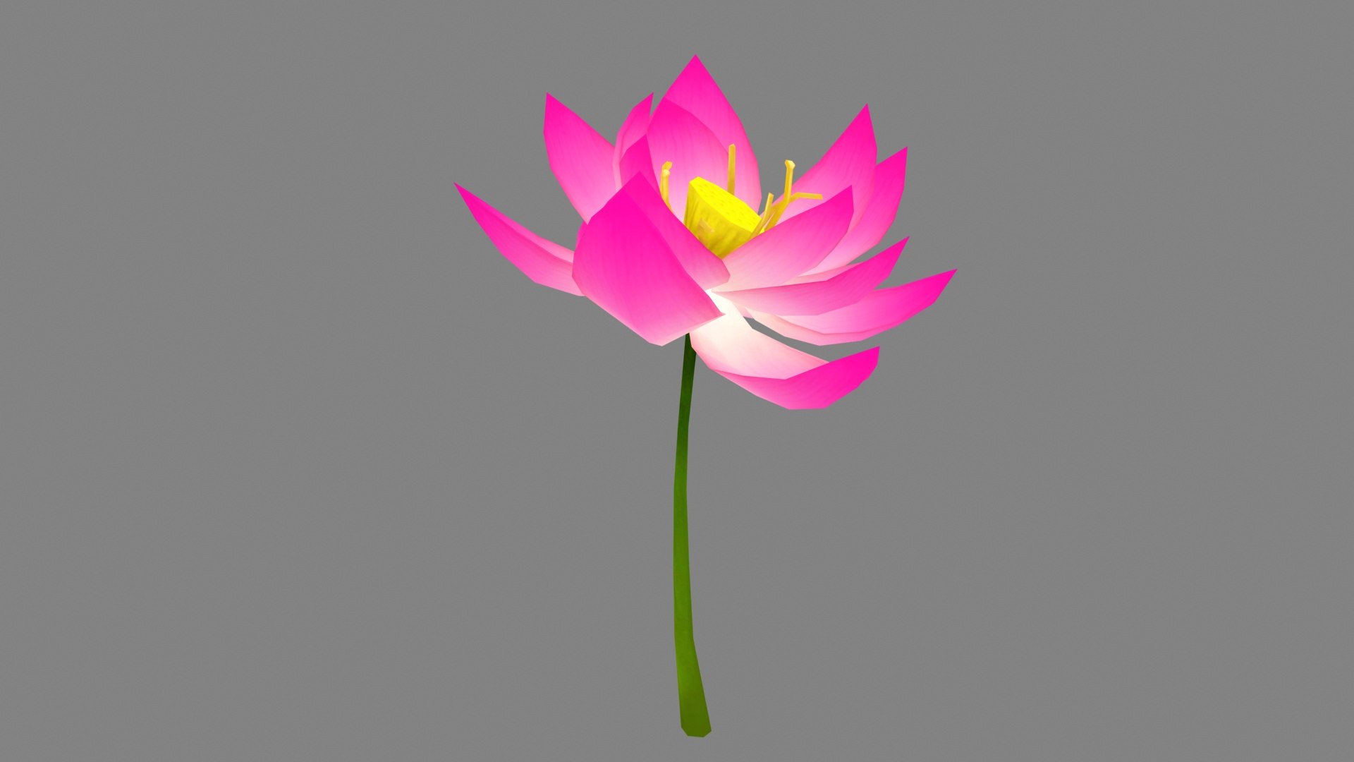 A Purple Lotus - Cartoon Lotus - Open Stamens 3D Model - TurboSquid 2255200