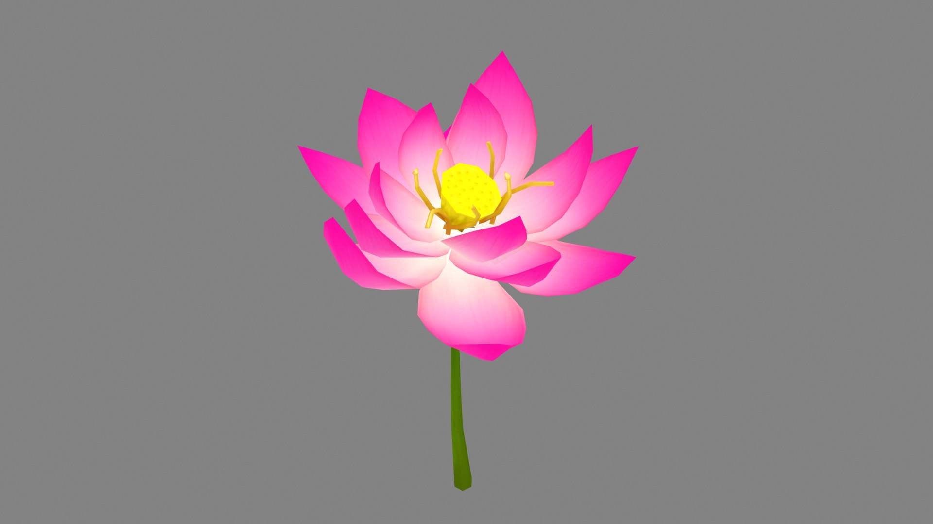 A Purple Lotus - Cartoon Lotus - Open Stamens 3D Model - TurboSquid 2255200