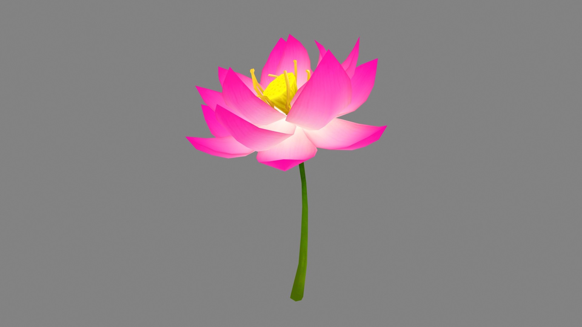 A Purple Lotus - Cartoon Lotus - Open Stamens 3D Model - TurboSquid 2255200