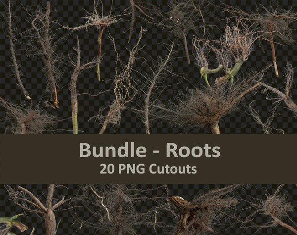 Texture png root roots