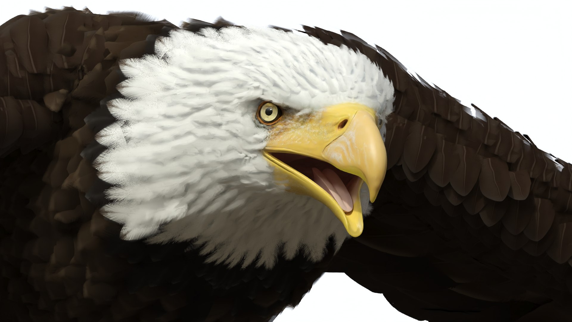 Realistic Flying Bald Eagle 3D Model - TurboSquid 2262312
