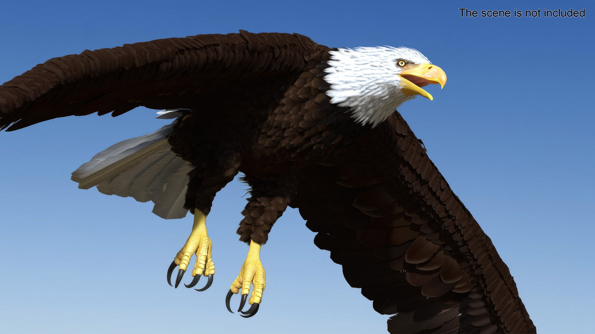 Realistic Flying Bald Eagle 3D Model - TurboSquid 2262312
