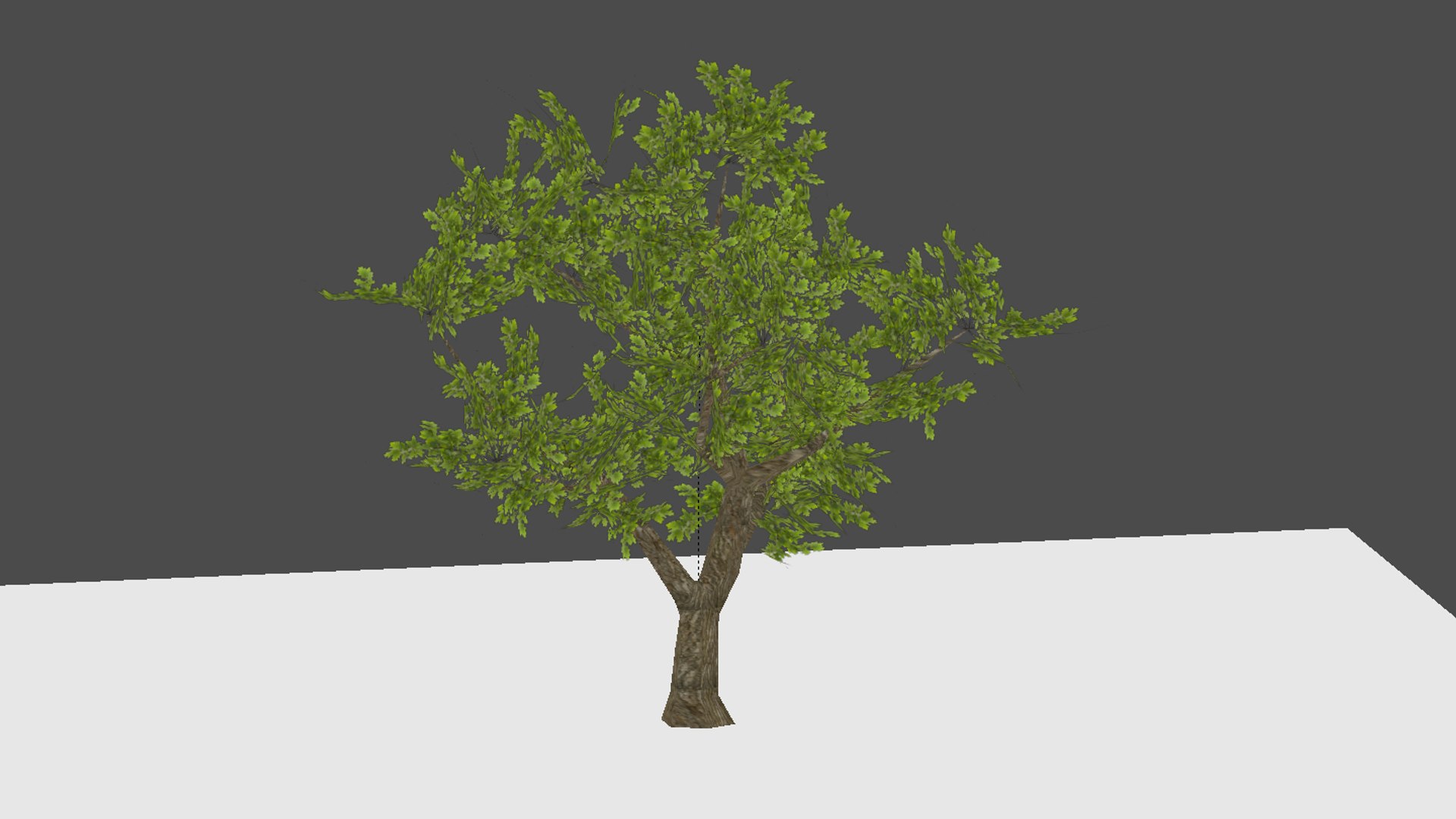 Free 3D tree model - TurboSquid 1571419