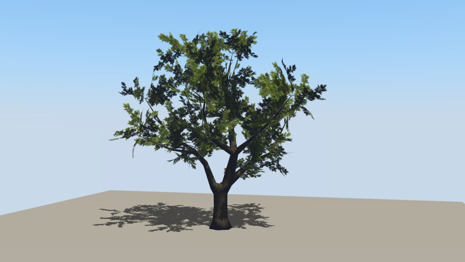 Free 3D tree model - TurboSquid 1571419