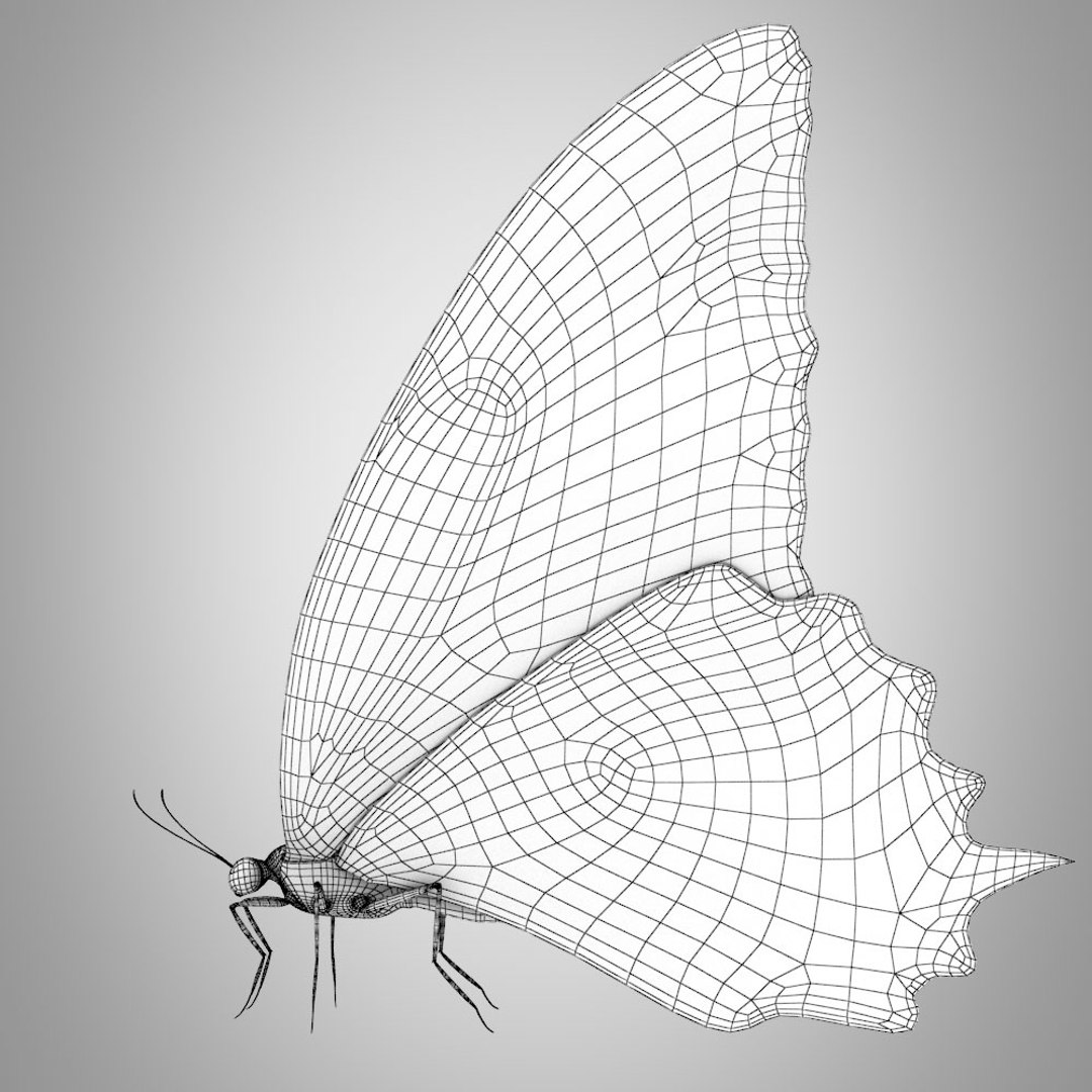 Butterfly Monarch Insect Nature 3D Model - TurboSquid 1415907