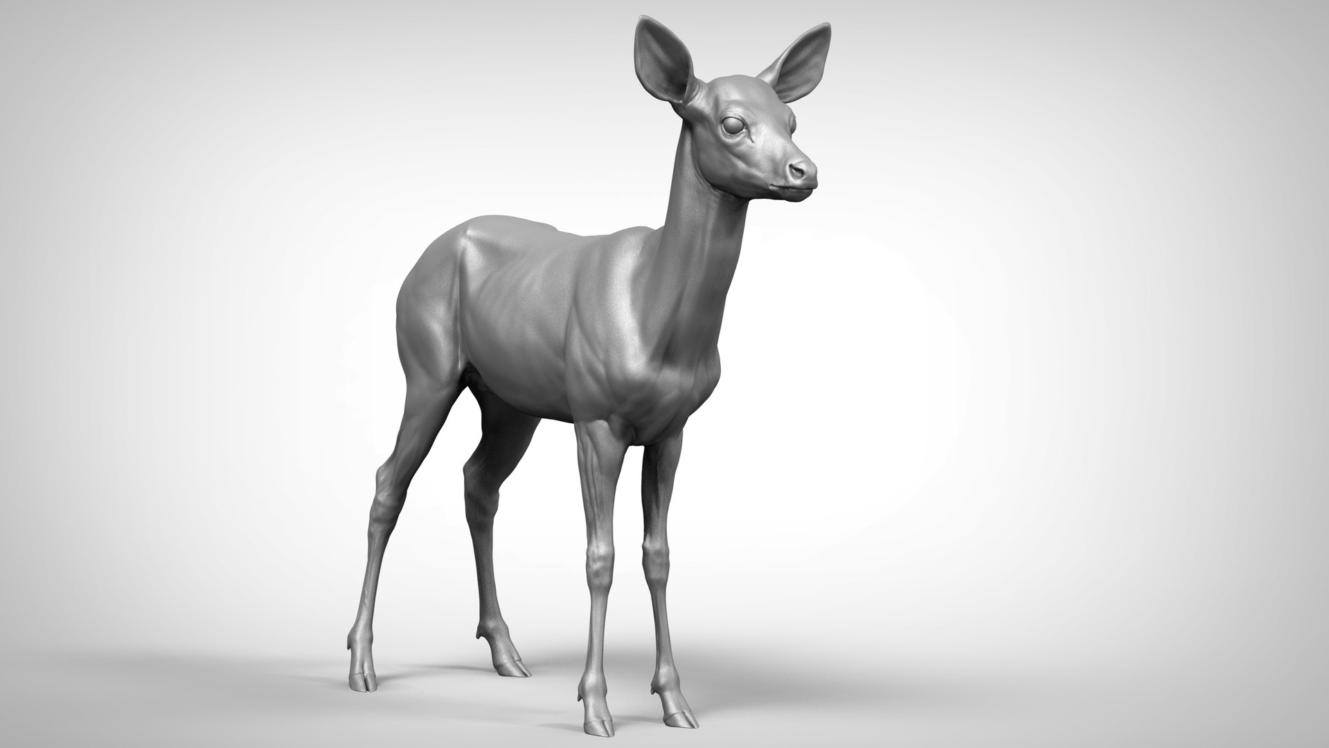 Deer Model - TurboSquid 1691058