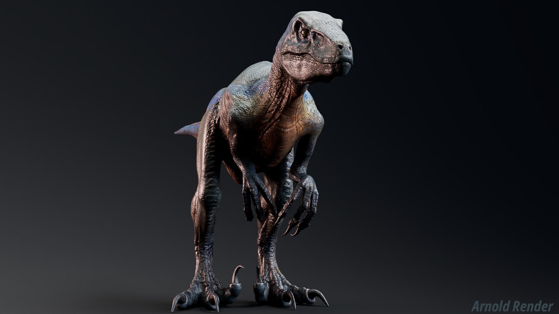 Raptor Dinosaur - Hybrid Velociraptor Unity Project 3D - TurboSquid 2250411