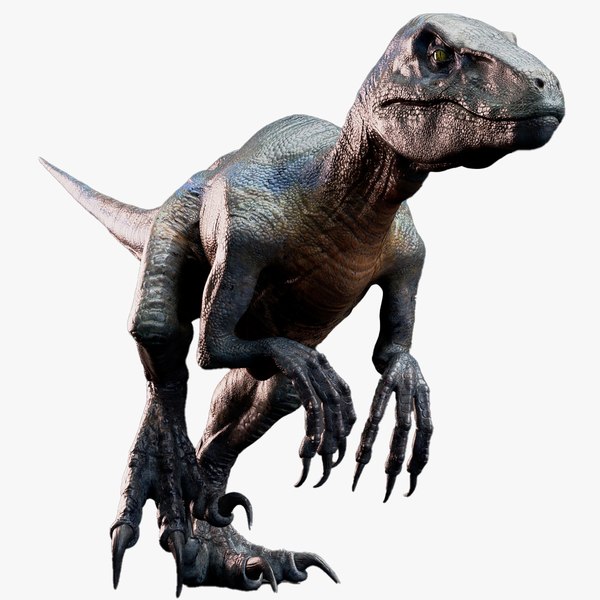 modelo 3d Dinosaurio Raptor - Proyecto de unidad Velociraptor híbrido ...
