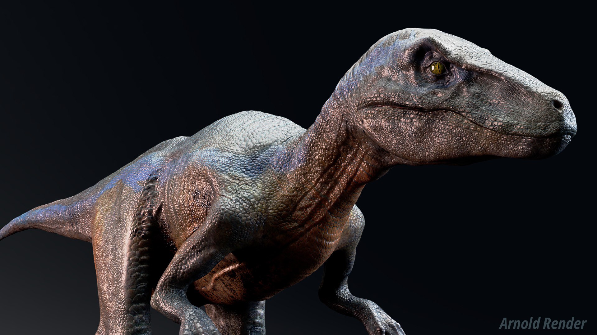 Raptor Dinosaur - Hybrid Velociraptor Unity Project 3D - TurboSquid 2250411