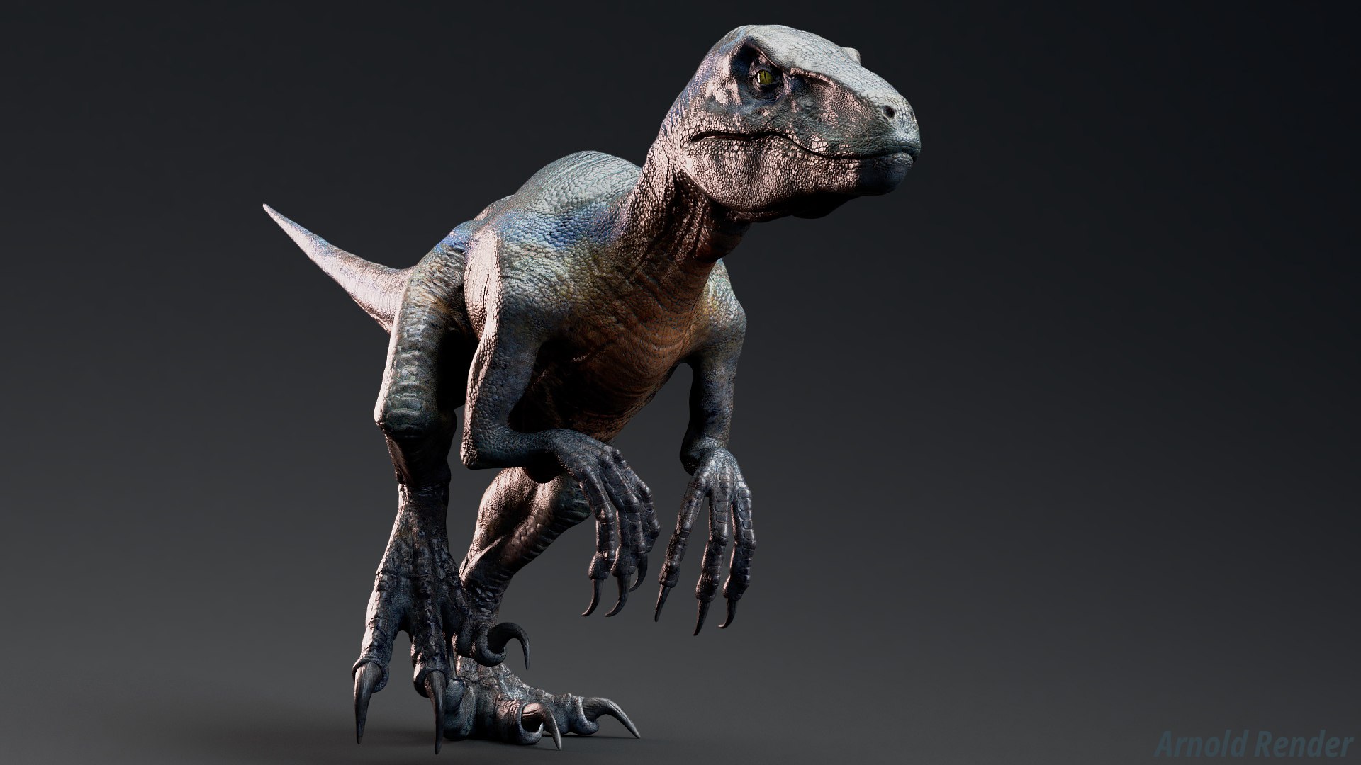 Raptor Dinosaur - Hybrid Velociraptor Unity Project 3D - TurboSquid 2250411