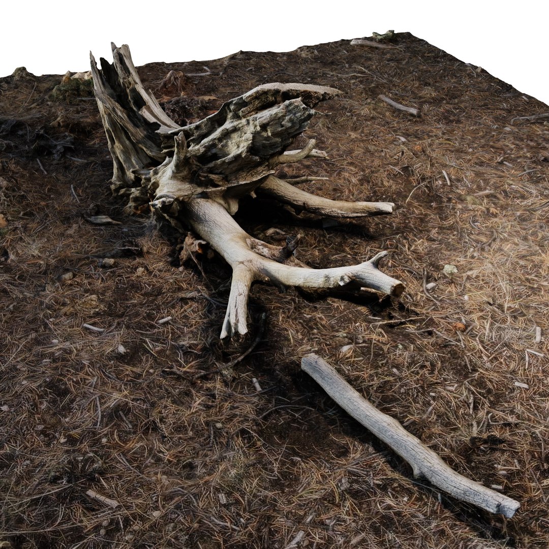 Rotten pine tree stump 3D model - TurboSquid 1391939