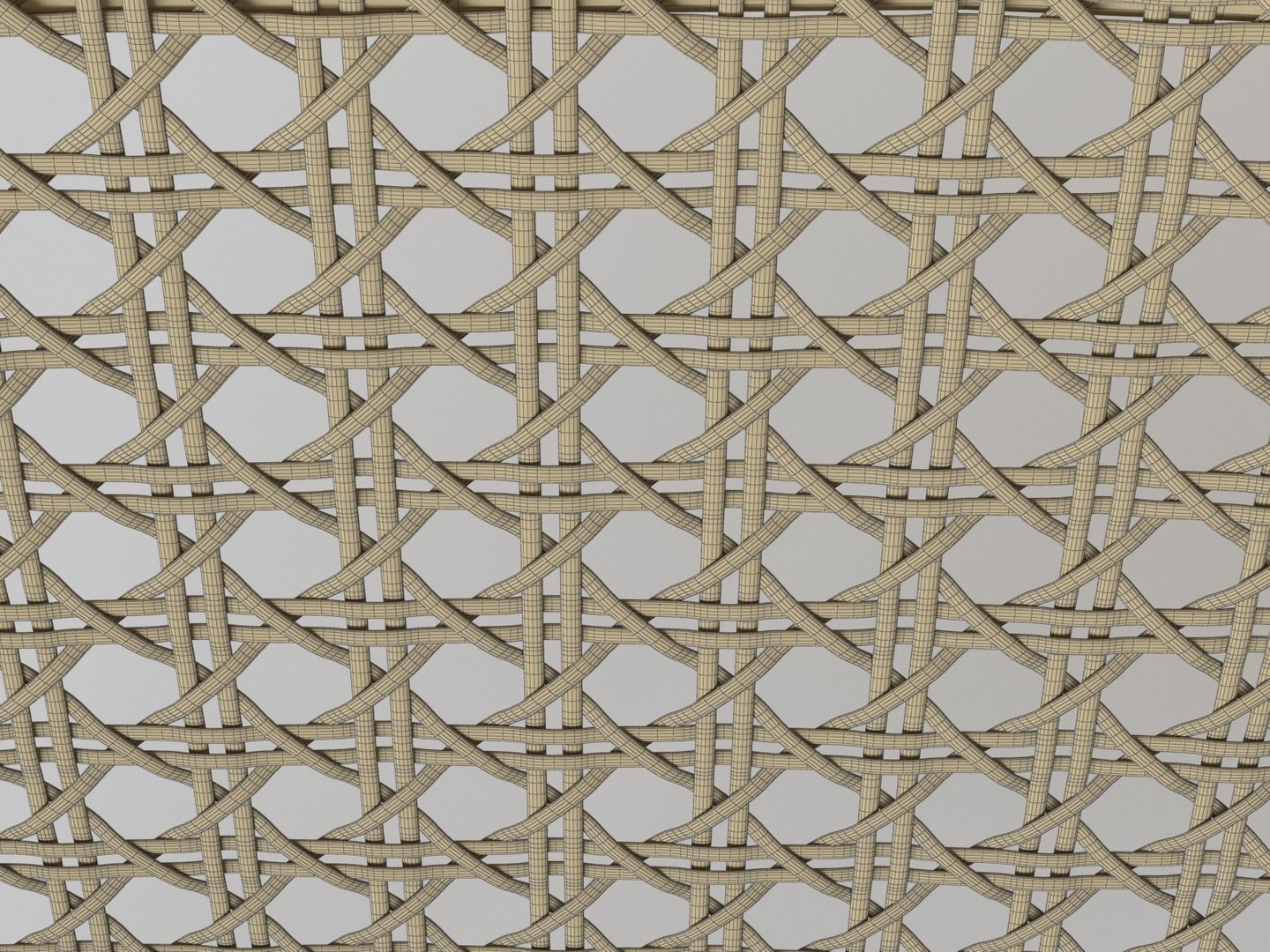 Mesh Cane Webbing 3D Model - TurboSquid 1204303