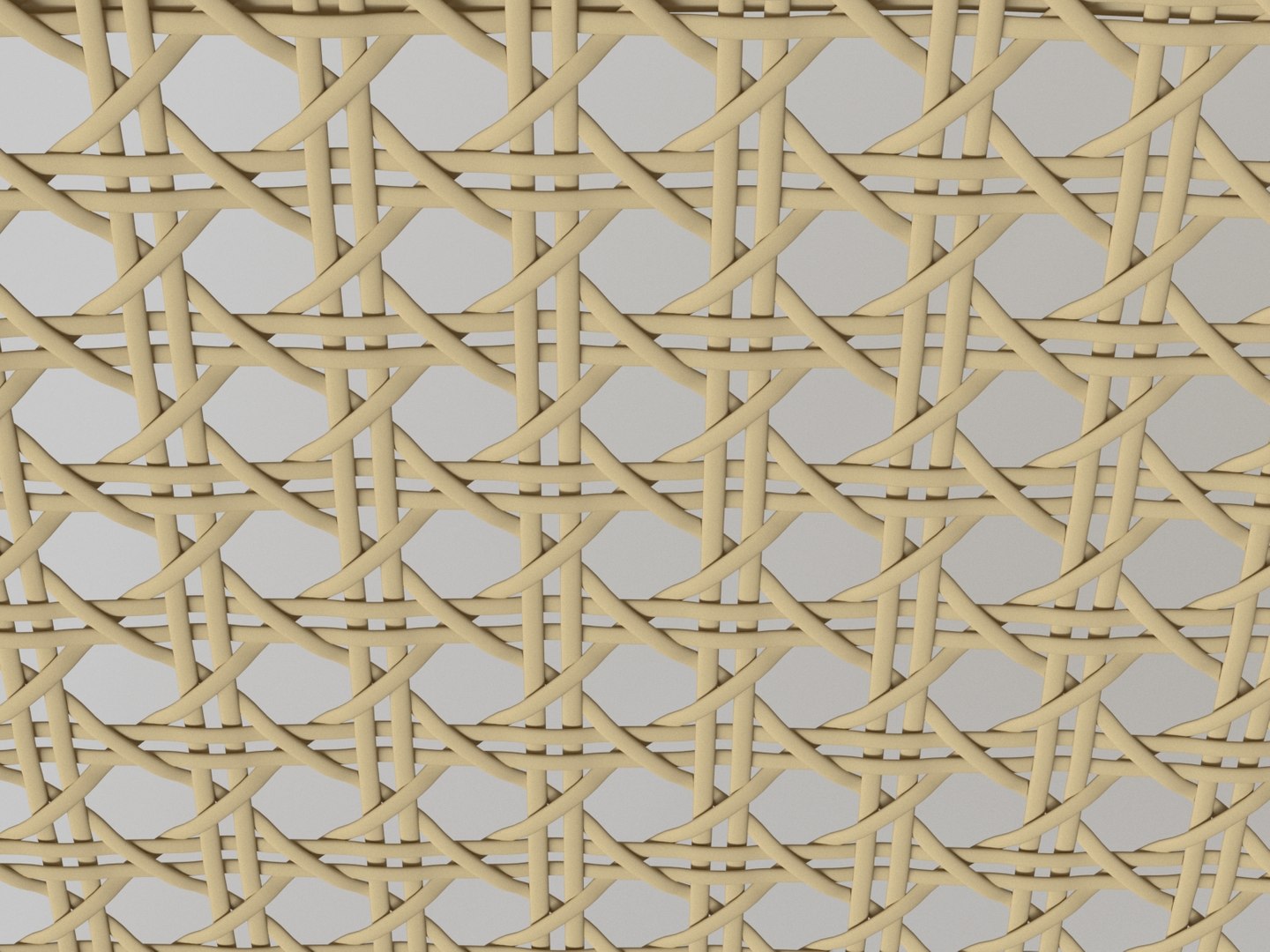 Mesh Cane Webbing 3D Model - TurboSquid 1204303
