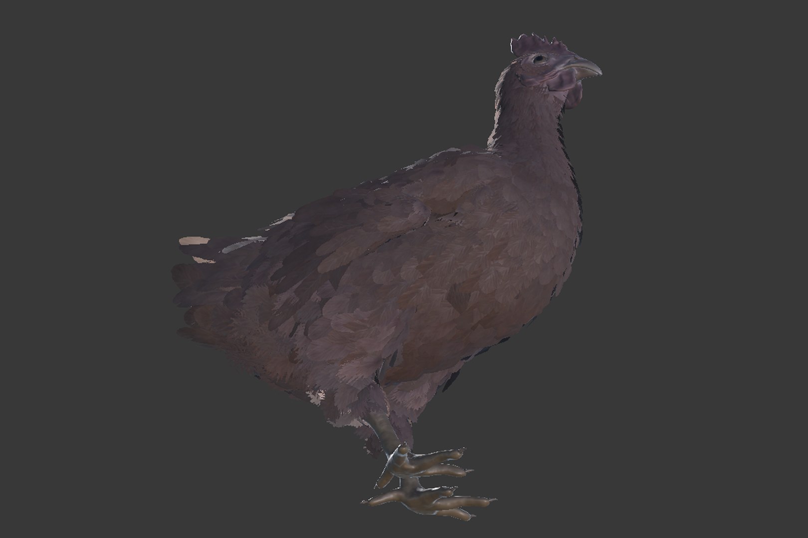 3D Chicken Model - TurboSquid 2190637