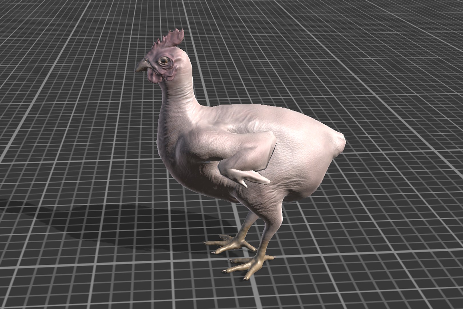 3D Chicken Model - TurboSquid 2190637