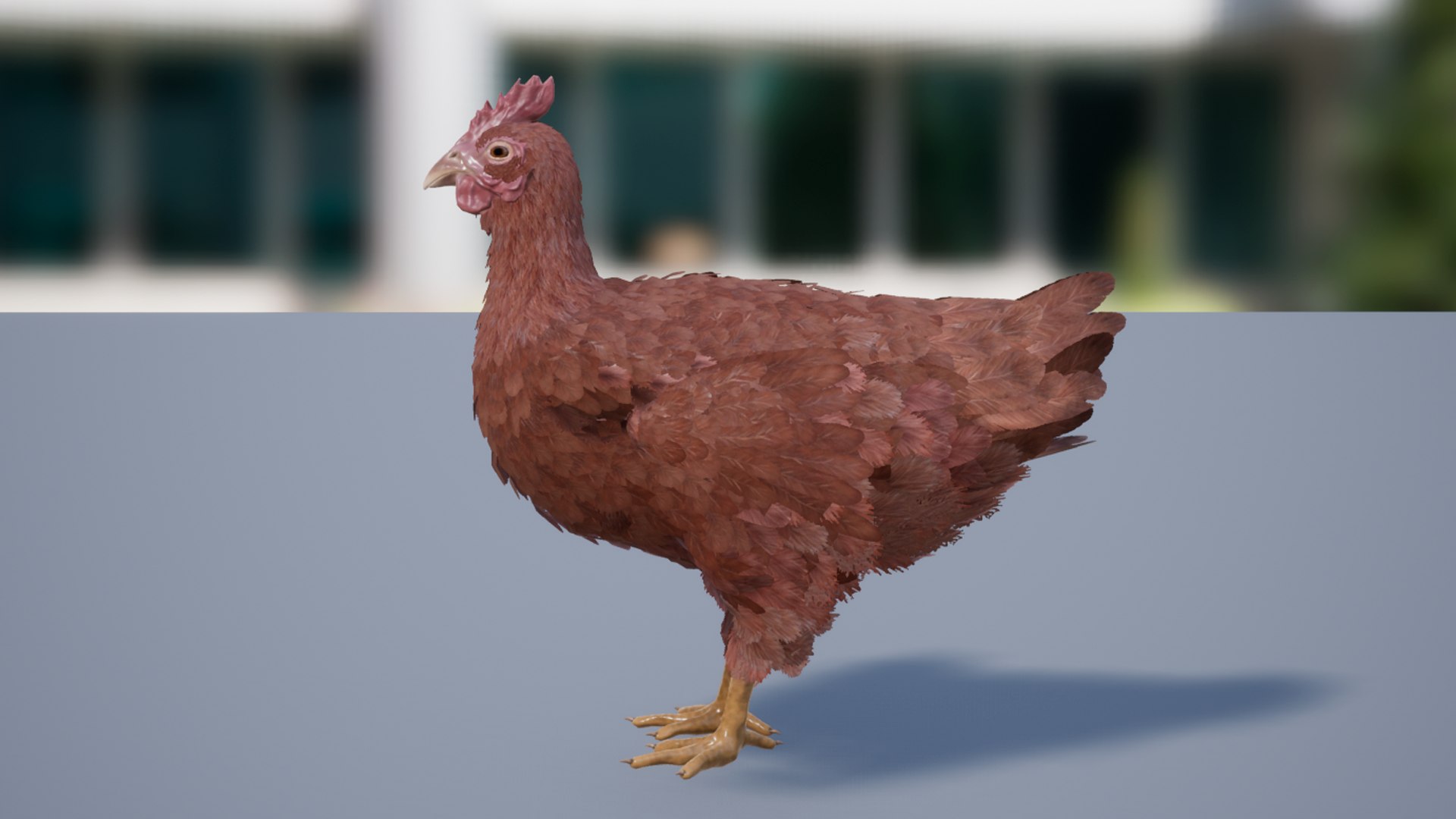 3D Chicken Model - TurboSquid 2190637