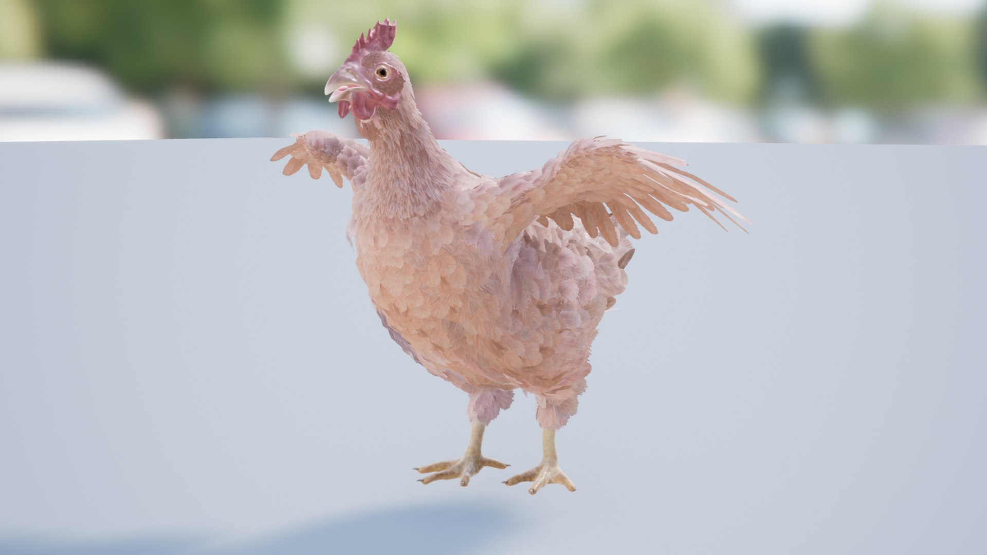 3D Chicken Model - TurboSquid 2190637