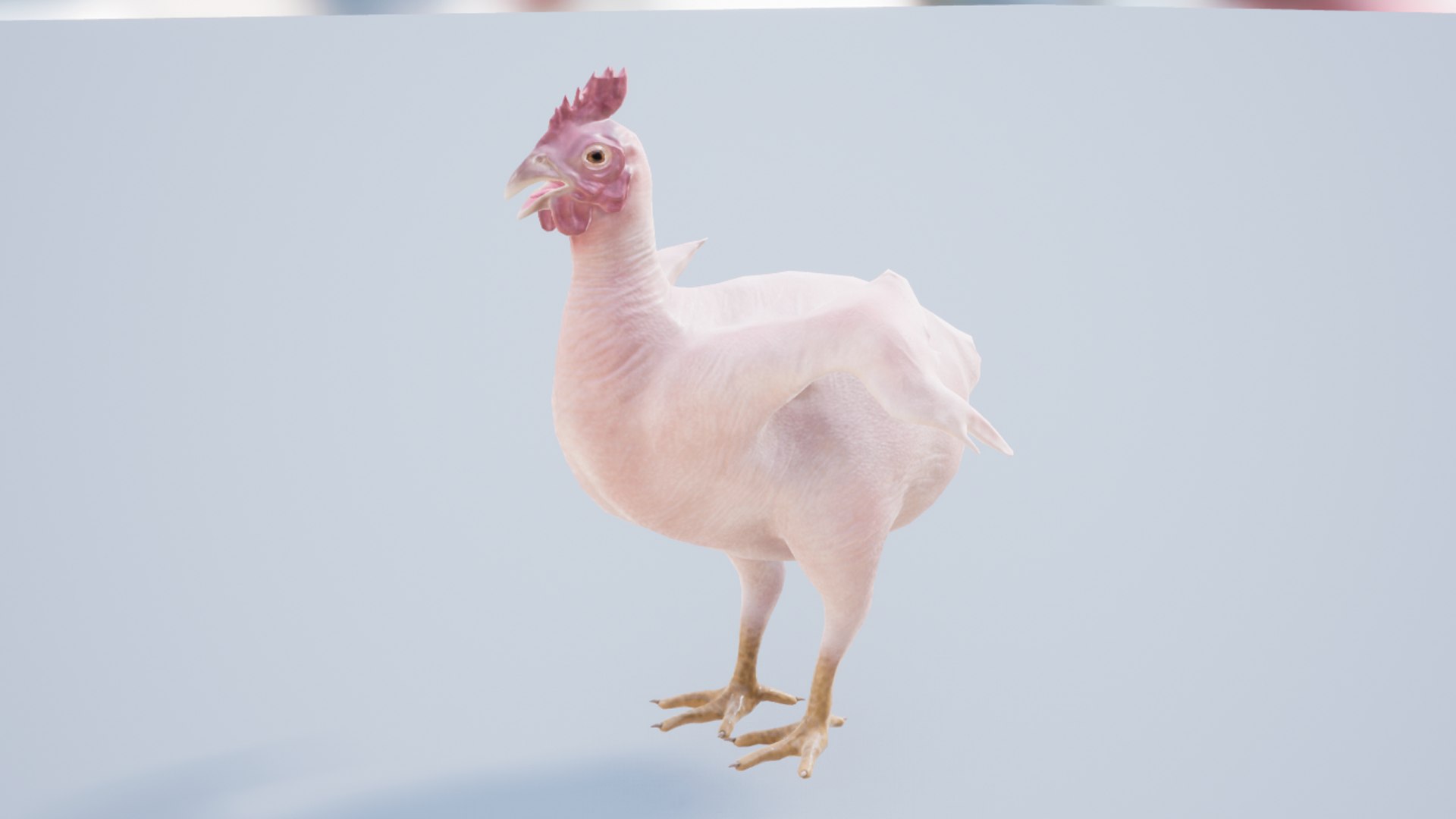 3D Chicken Model - TurboSquid 2190637