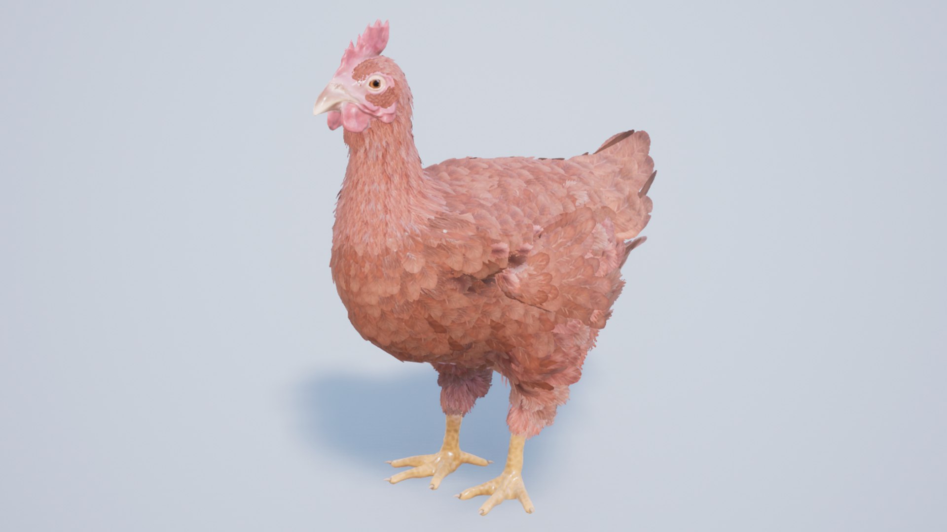 3D Chicken Model - TurboSquid 2190637