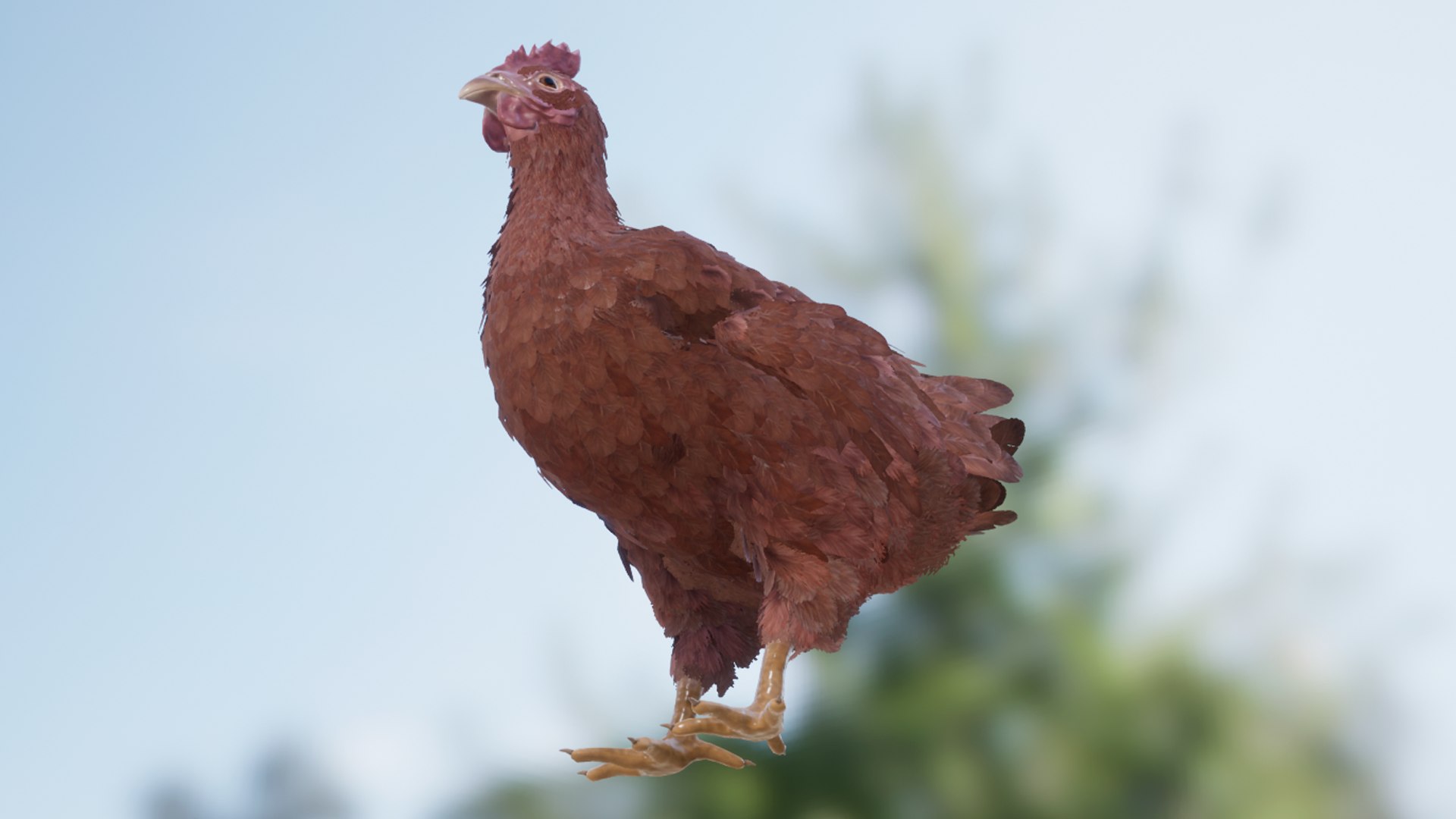 3D Chicken Model - TurboSquid 2190637