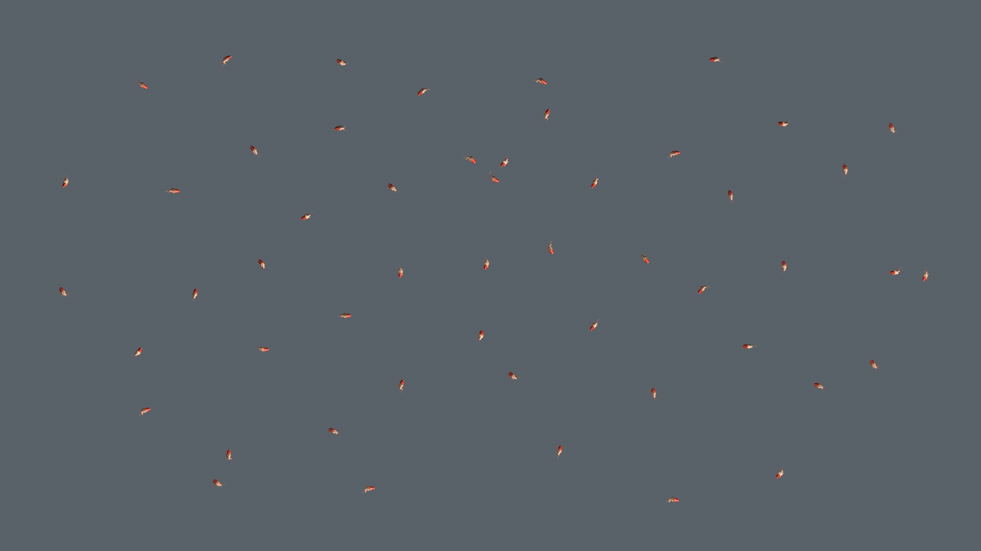 3D Model Goldfishes Animation - TurboSquid 1585063