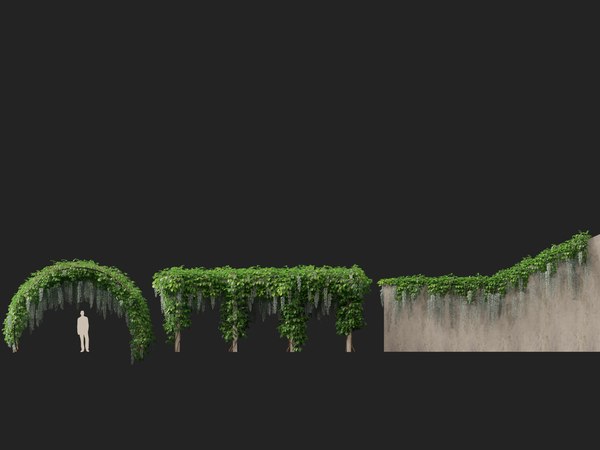 modelo 3d Strongylodon Macrobotrys (enredadera de jade) de alta ...