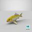 3D Yellow Koi Ogon Fish Model | 1144510 | TurboSquid