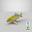 3D Yellow Koi Ogon Fish Model | 1144510 | TurboSquid