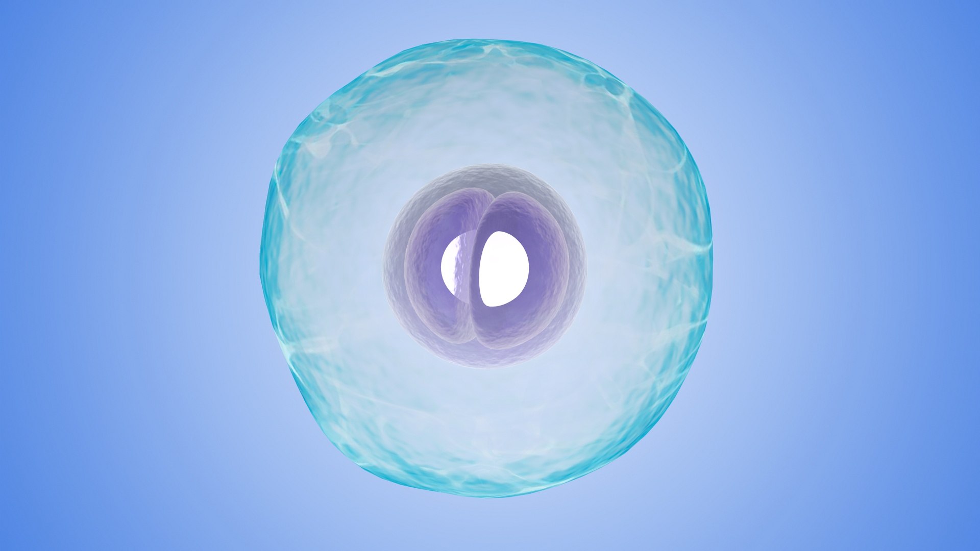 Protein enzyme DNA biology disease microscope microscopic 3D model ...