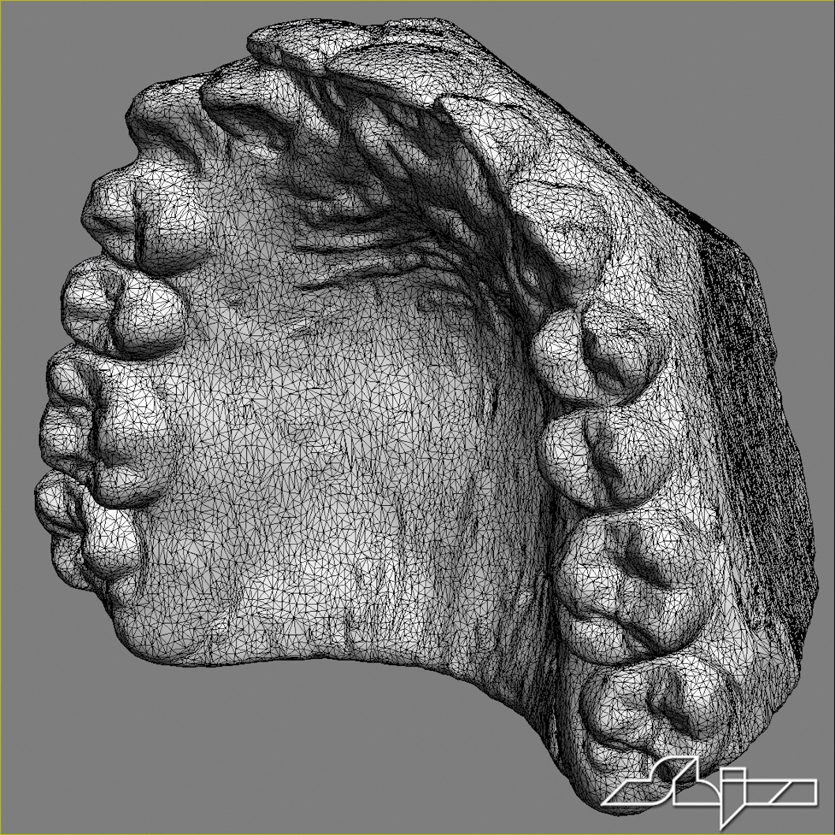 3d model gypsum mould teeth scan