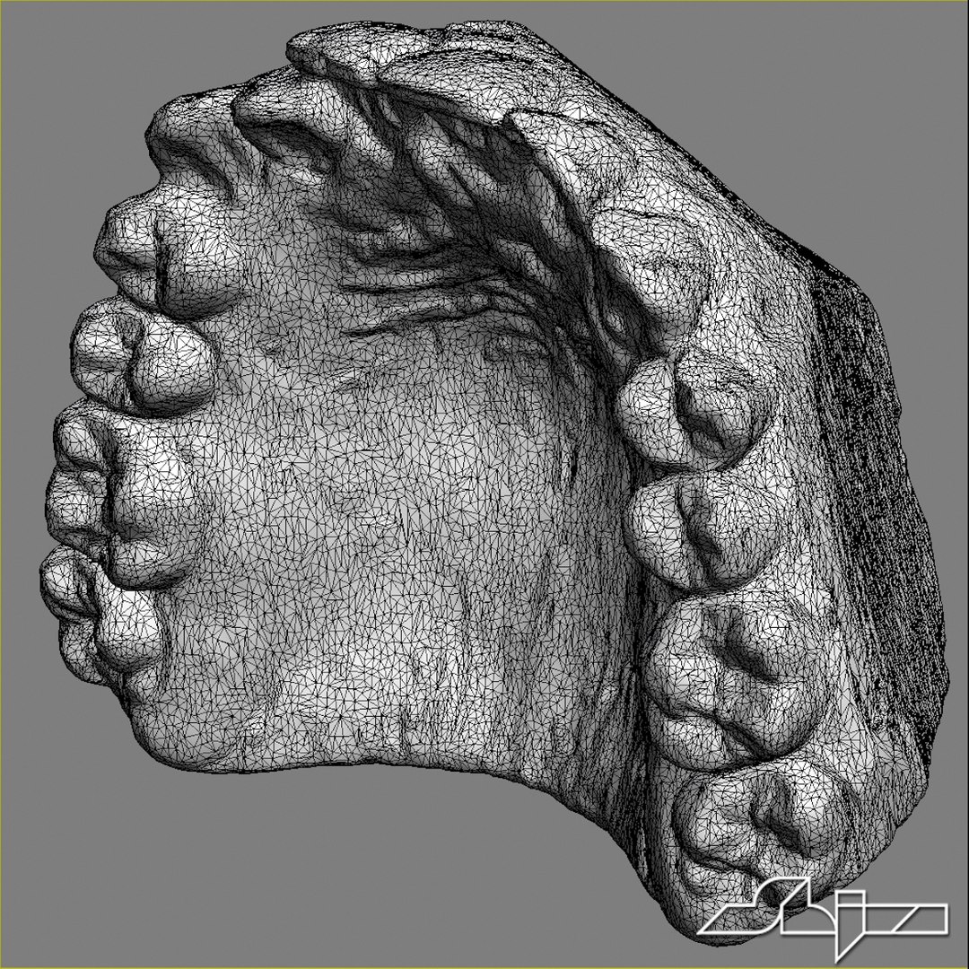 3d Model Gypsum Mould Teeth Scan