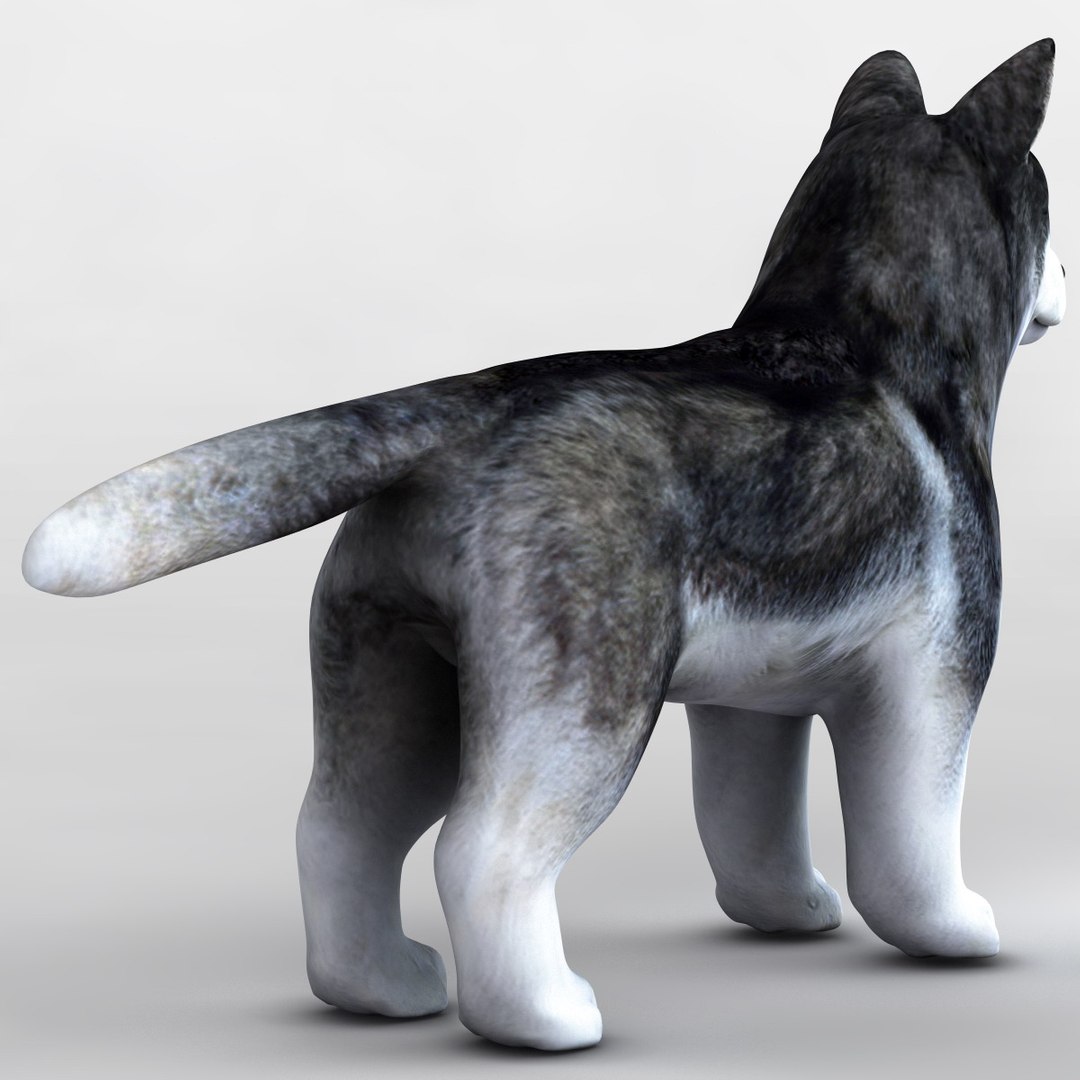 3dsmax siberian husky puppy