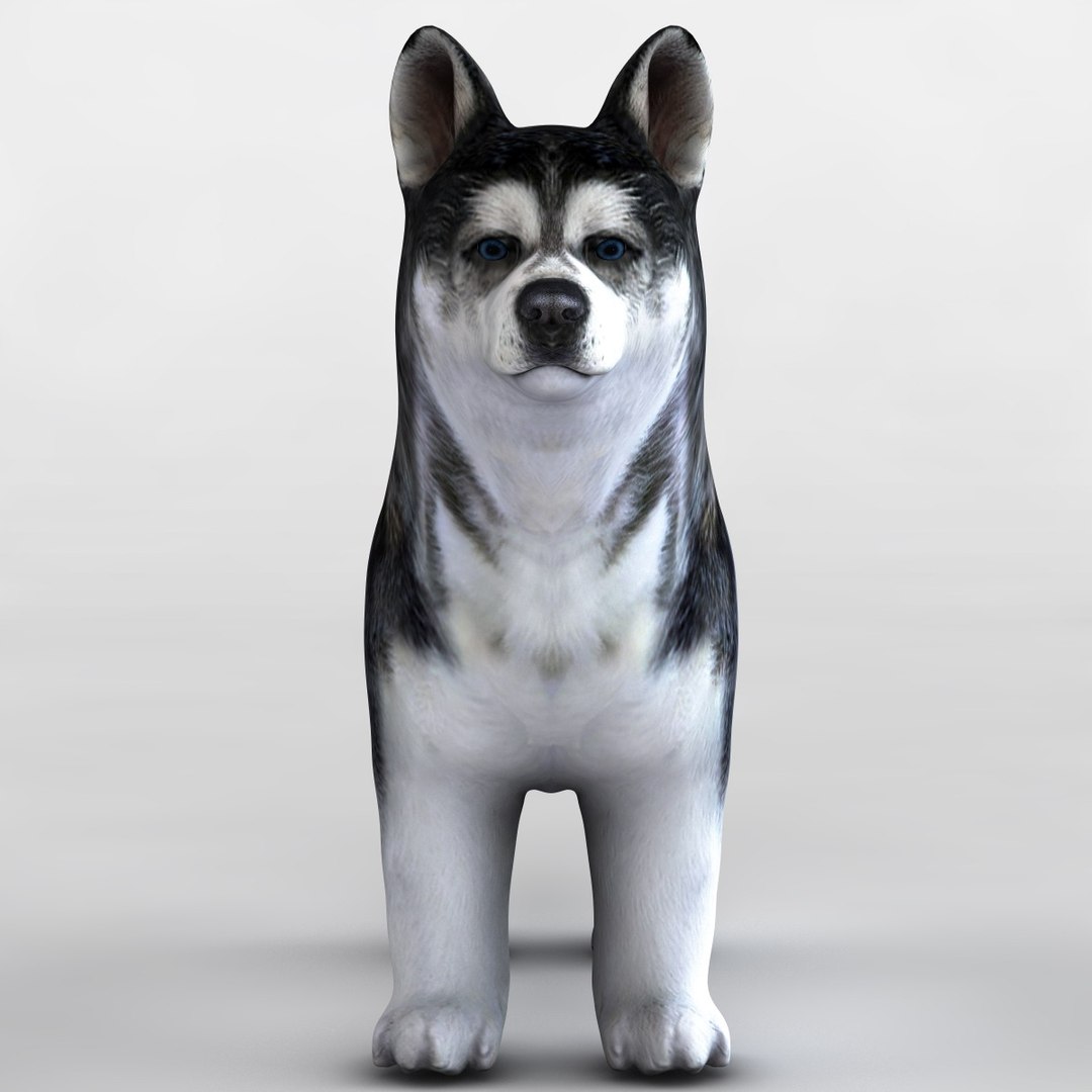 3dsmax siberian husky puppy