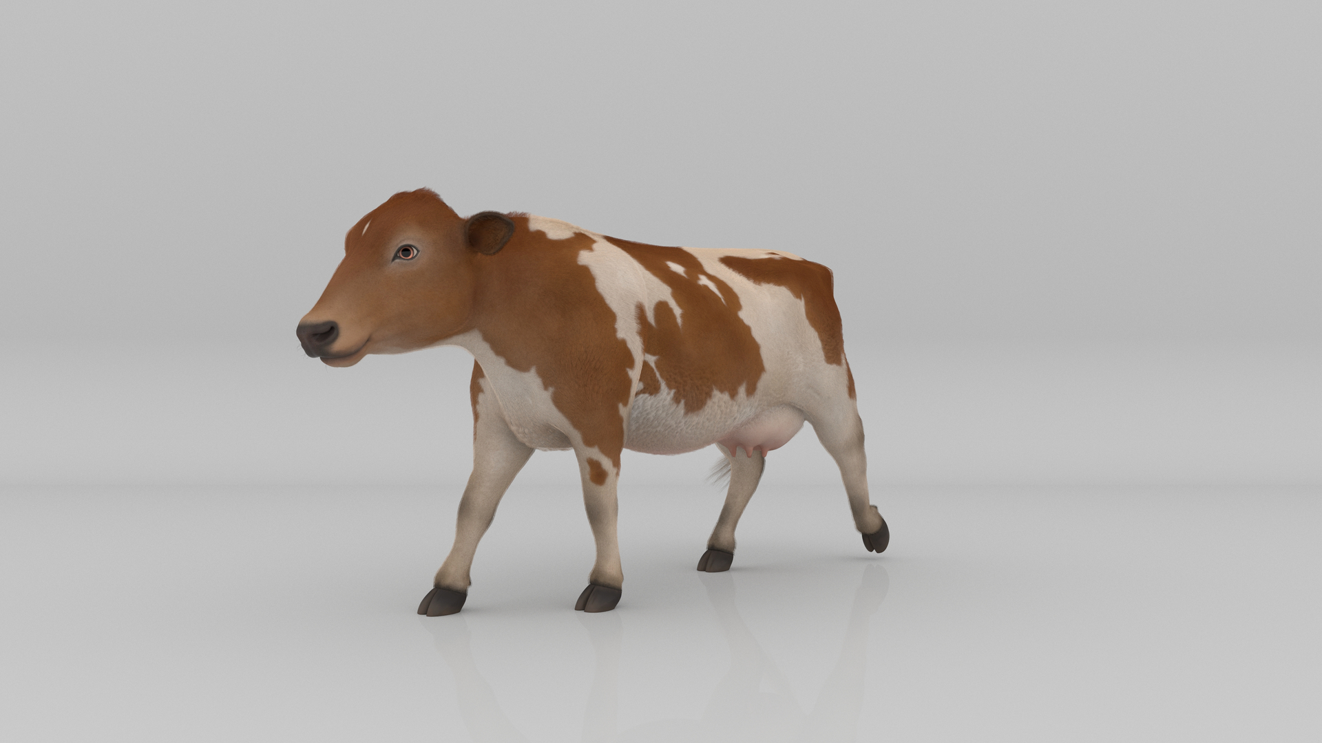 Dairy Cow FUR ANIMATED 3D Model - TurboSquid 1962775