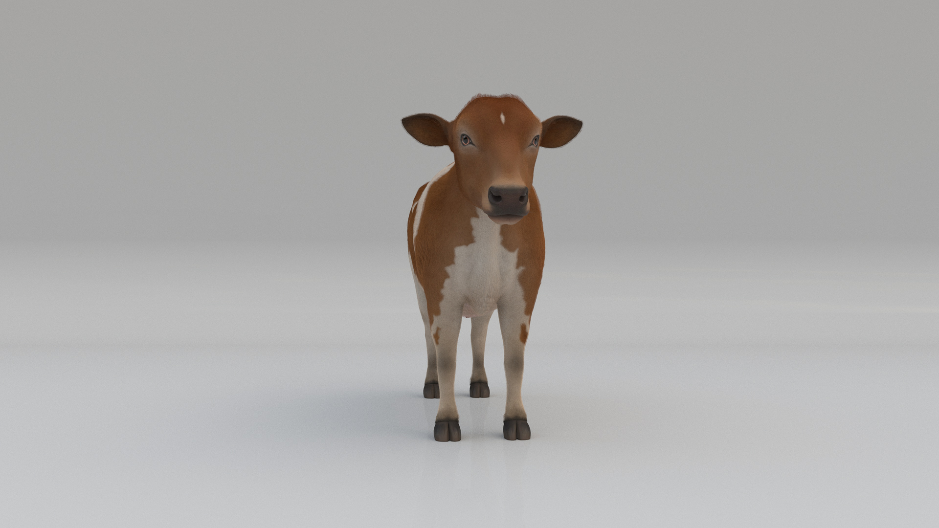 Dairy Cow FUR ANIMATED 3D Model - TurboSquid 1962775