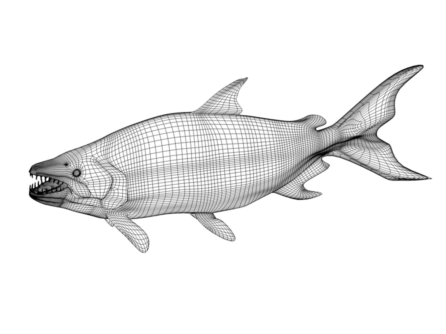 3d model giant tigerfish fish