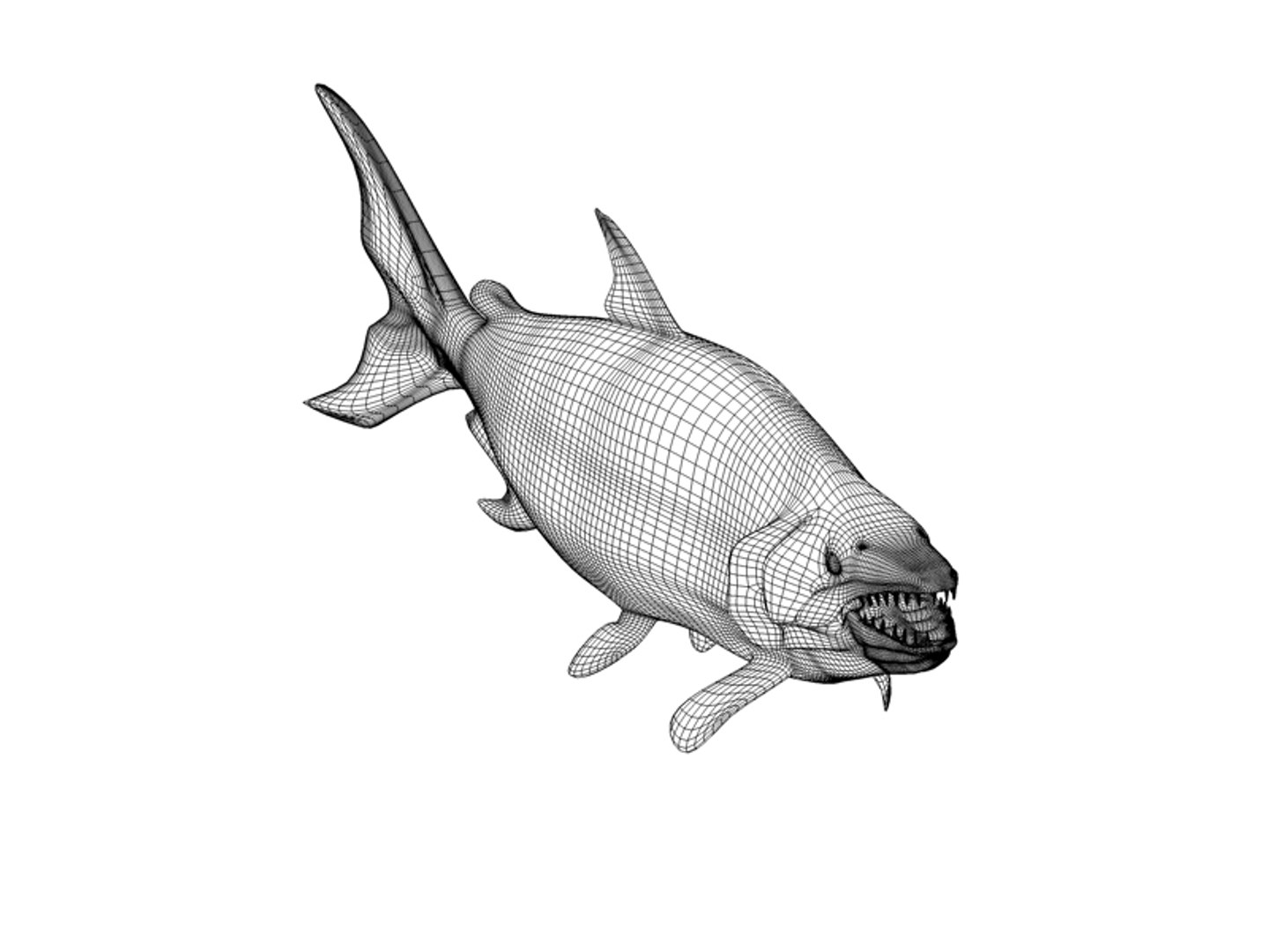 3d model giant tigerfish fish